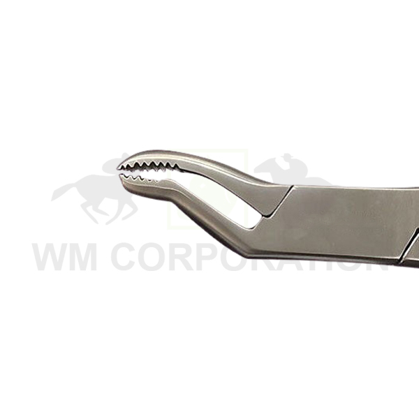 Incisor Fragment Forceps 19” Simple Joint – WM Corporation