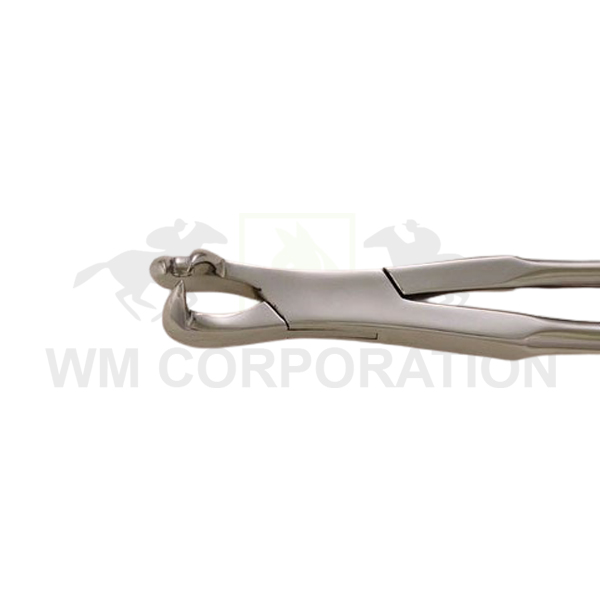 Reynolds Cap Extractor Forceps 17” Upper – WM Corporation